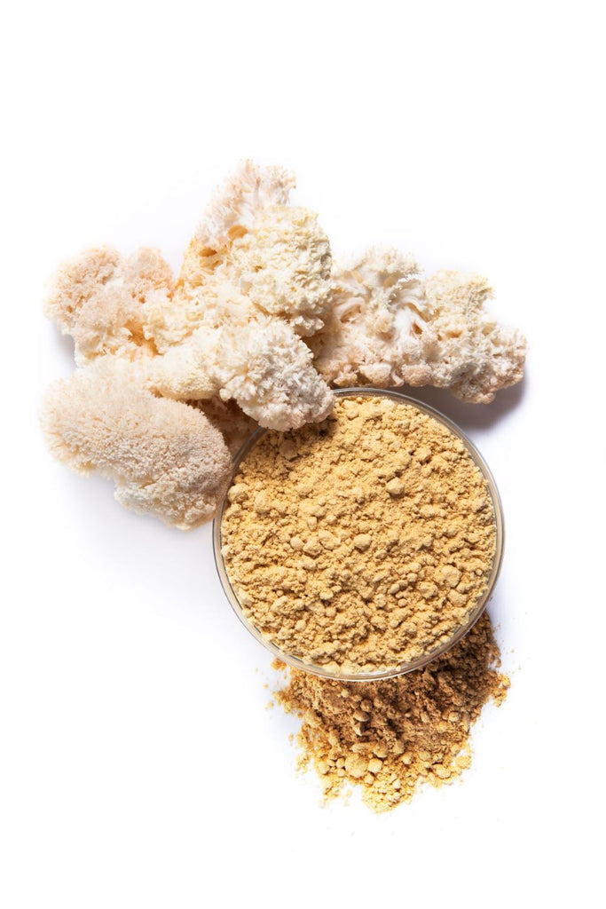 Laird Superfood Performance Mushrooms - Support your energy and cognition