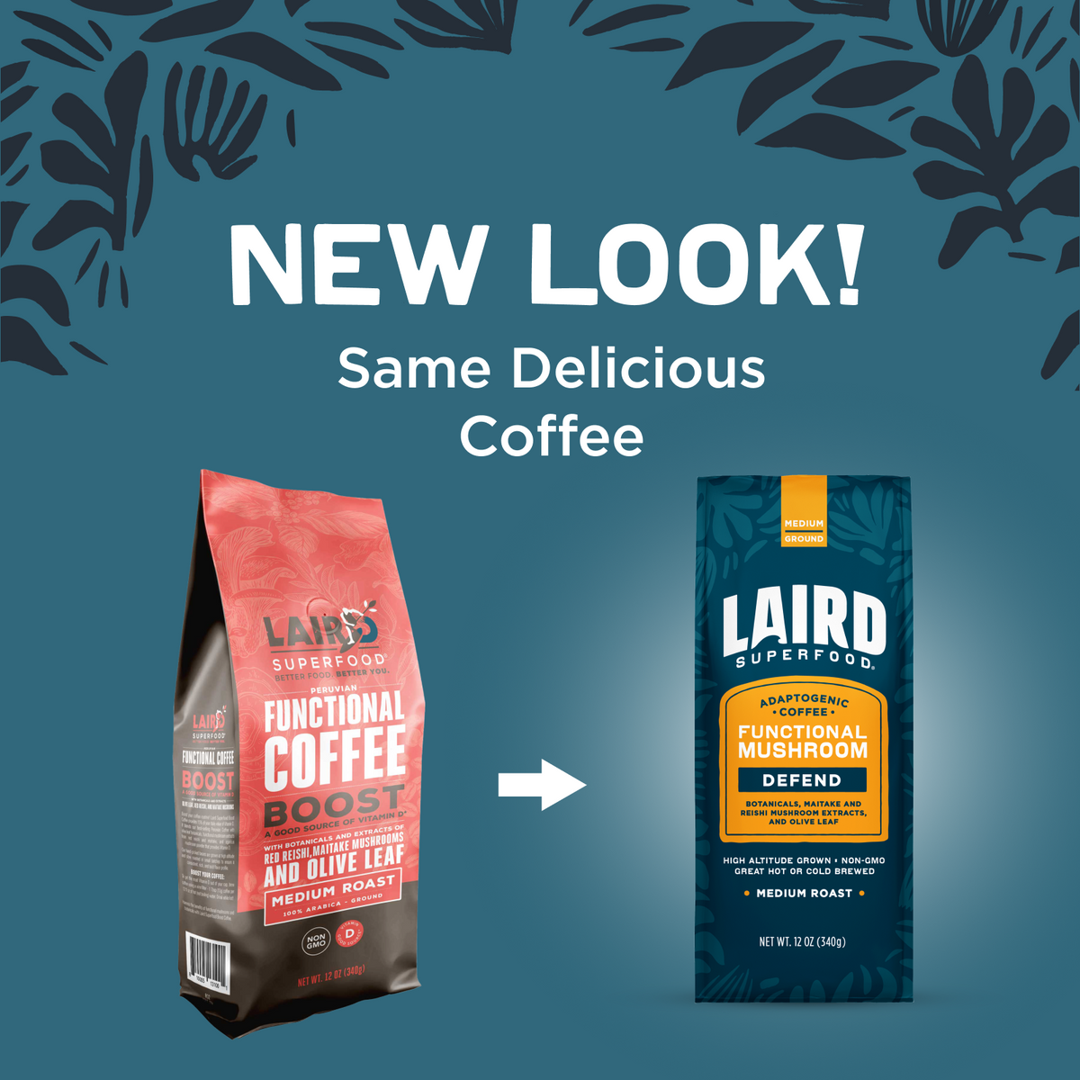 DEFEND Functional Mushroom Coffee, 15% DV of Vitamin D | Laird Superfood