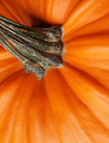 Pumpkin Spice Superfood Creamer© | Laird Superfood
