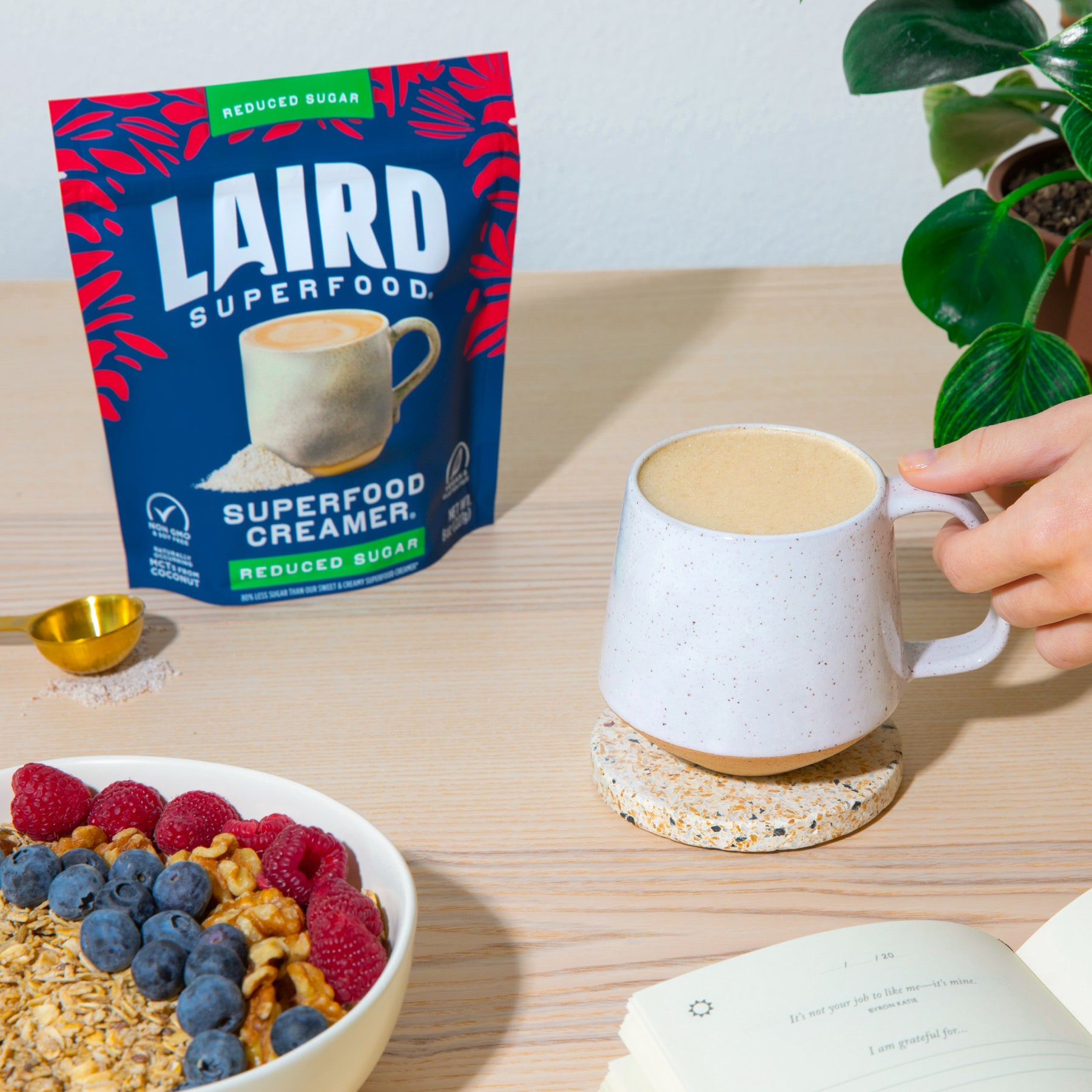 Reduced Sugar Coconut Superfood Creamer | Laird Superfood