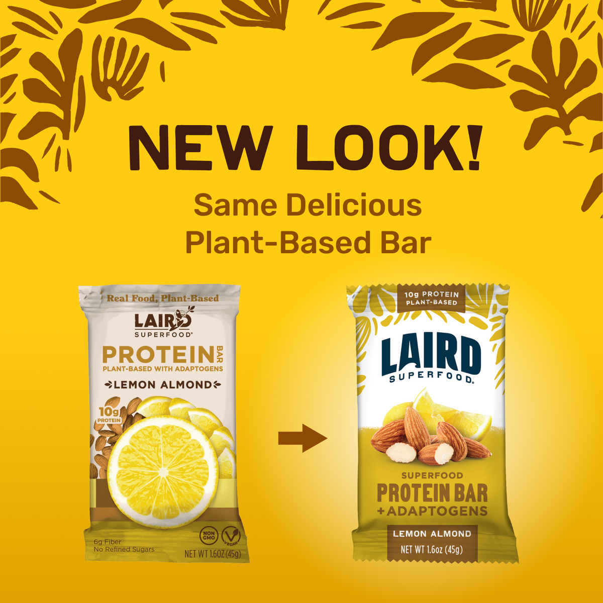Lemon Almond Protein Bars | Laird Superfood