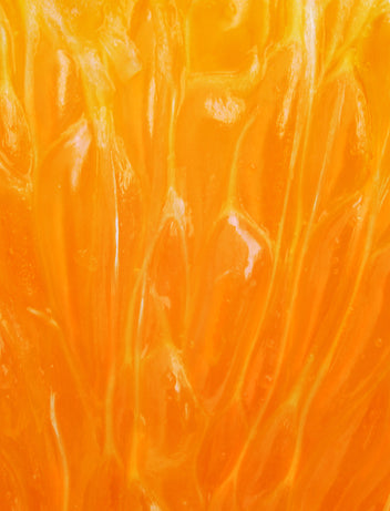 Daily Greens Powder - Prebiotic Greens Drink | Laird Superfood