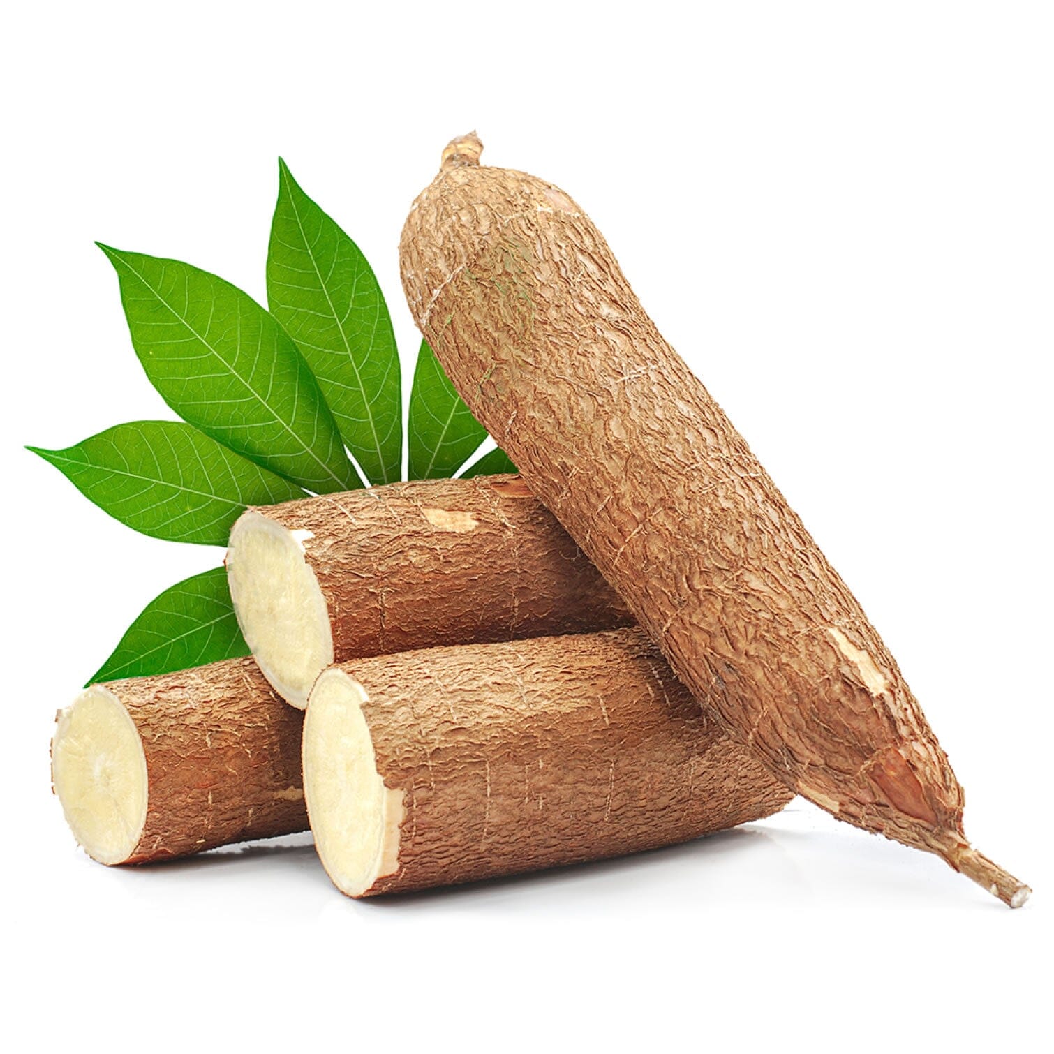 Dark Chocolate Sea Salt Protein Bars | Laird Superfood